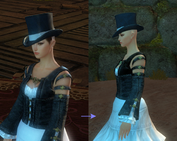 Suggestion: Wizard and Witch Hats with Hairs - Guild Wars 2 Discussion ...