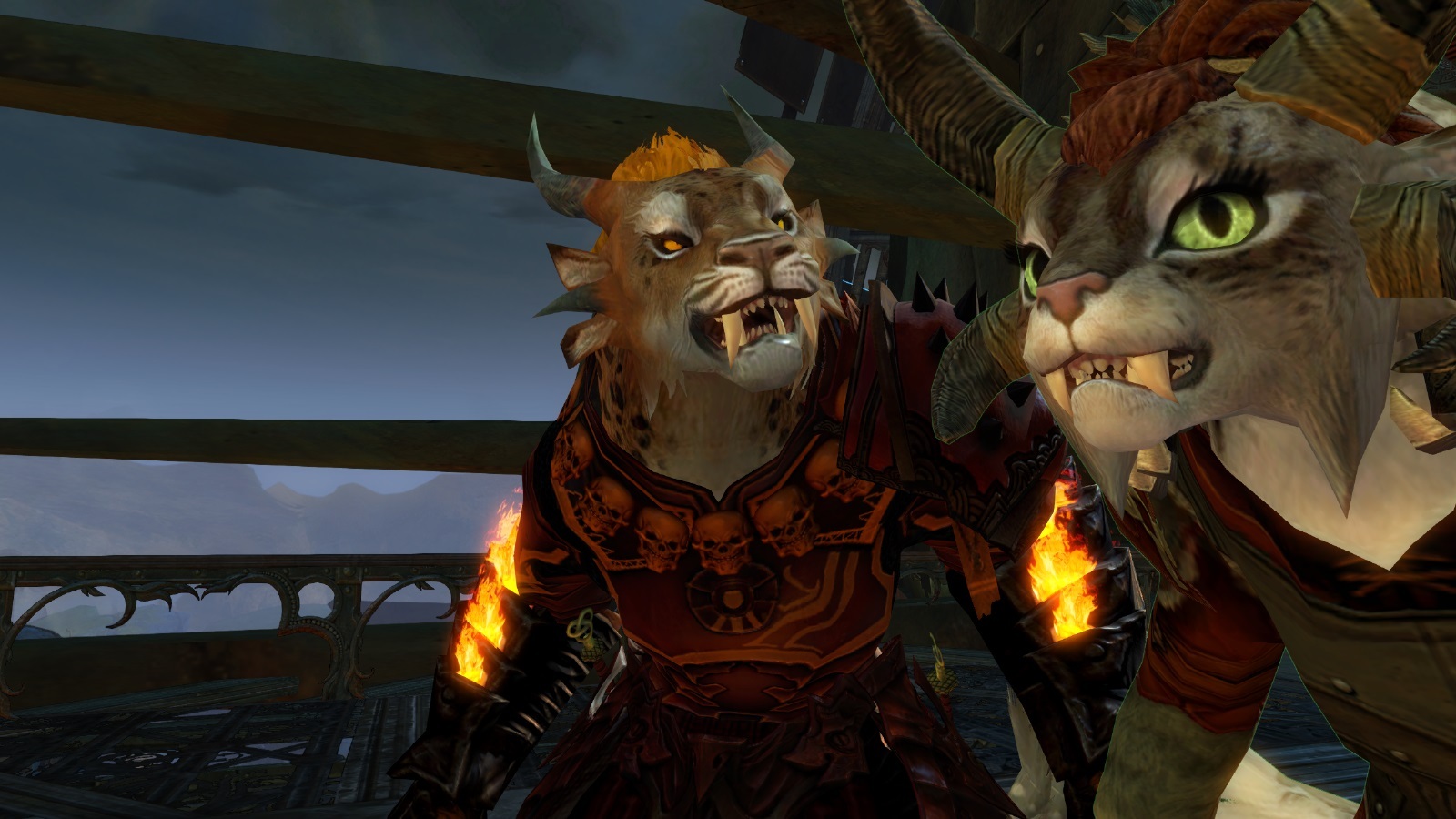 Thank you, Arena.net, for making a decent Asian-looking person ...